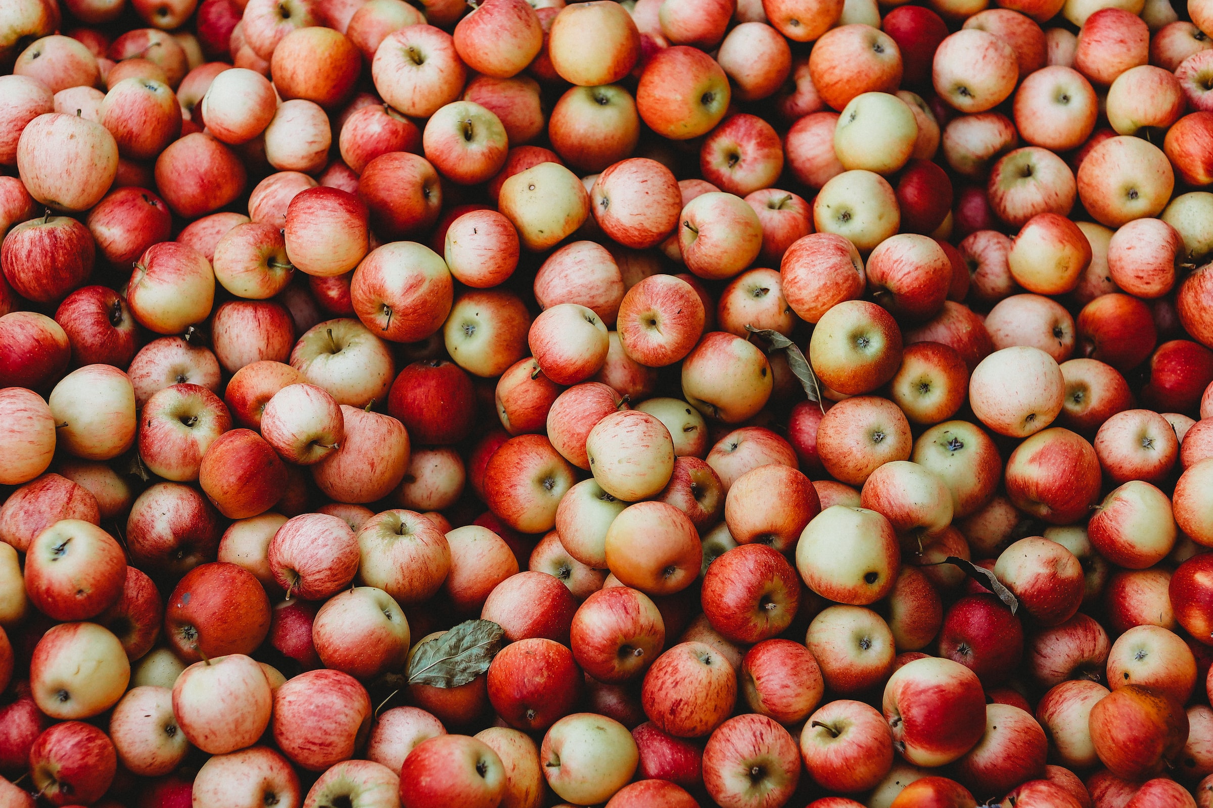 40 Free & Low-Cost Activities to try this fall - Budget Girl